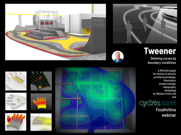 Reconciling Curves with Rhino Plug-in Tweener
